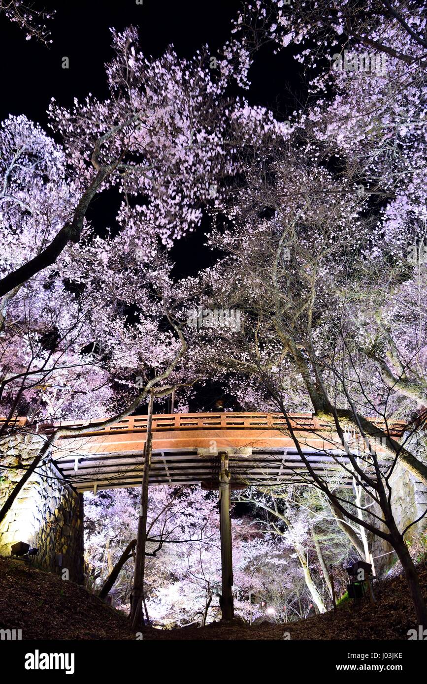 Sakurakumo hi-res stock photography and images - Alamy
