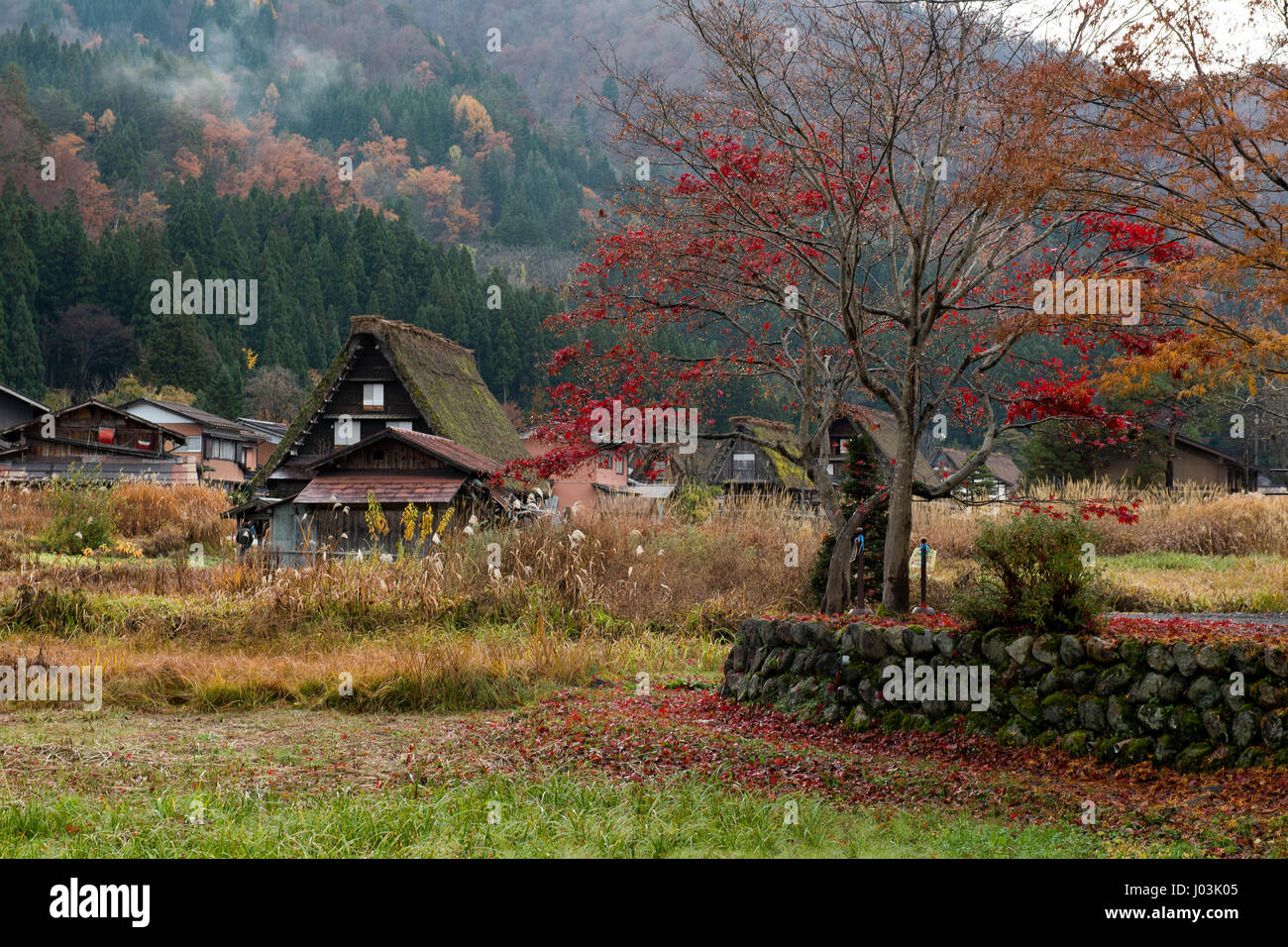 Town scenery in autumn Stock Photo - Alamy
