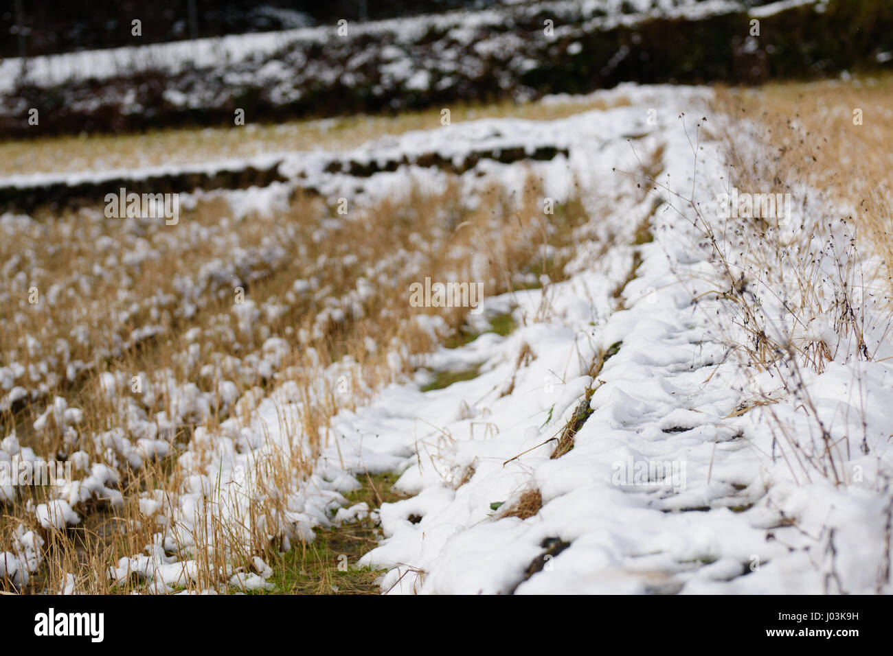 A footpath with snow Stock Photo - Alamy