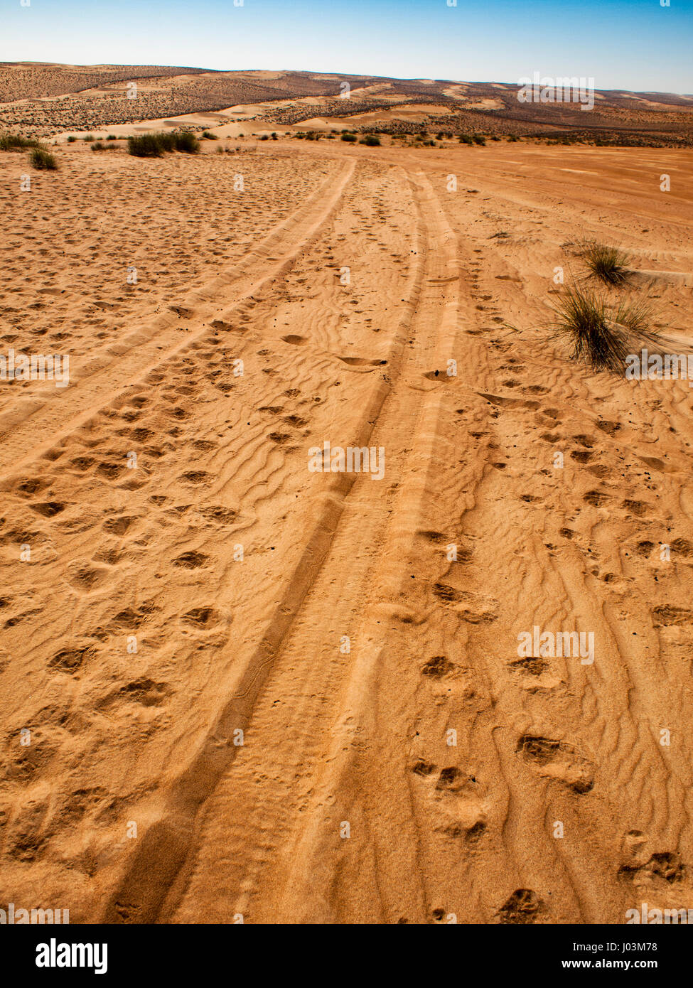 Wahiba Sand Desert, Oman Stock Photo - Alamy