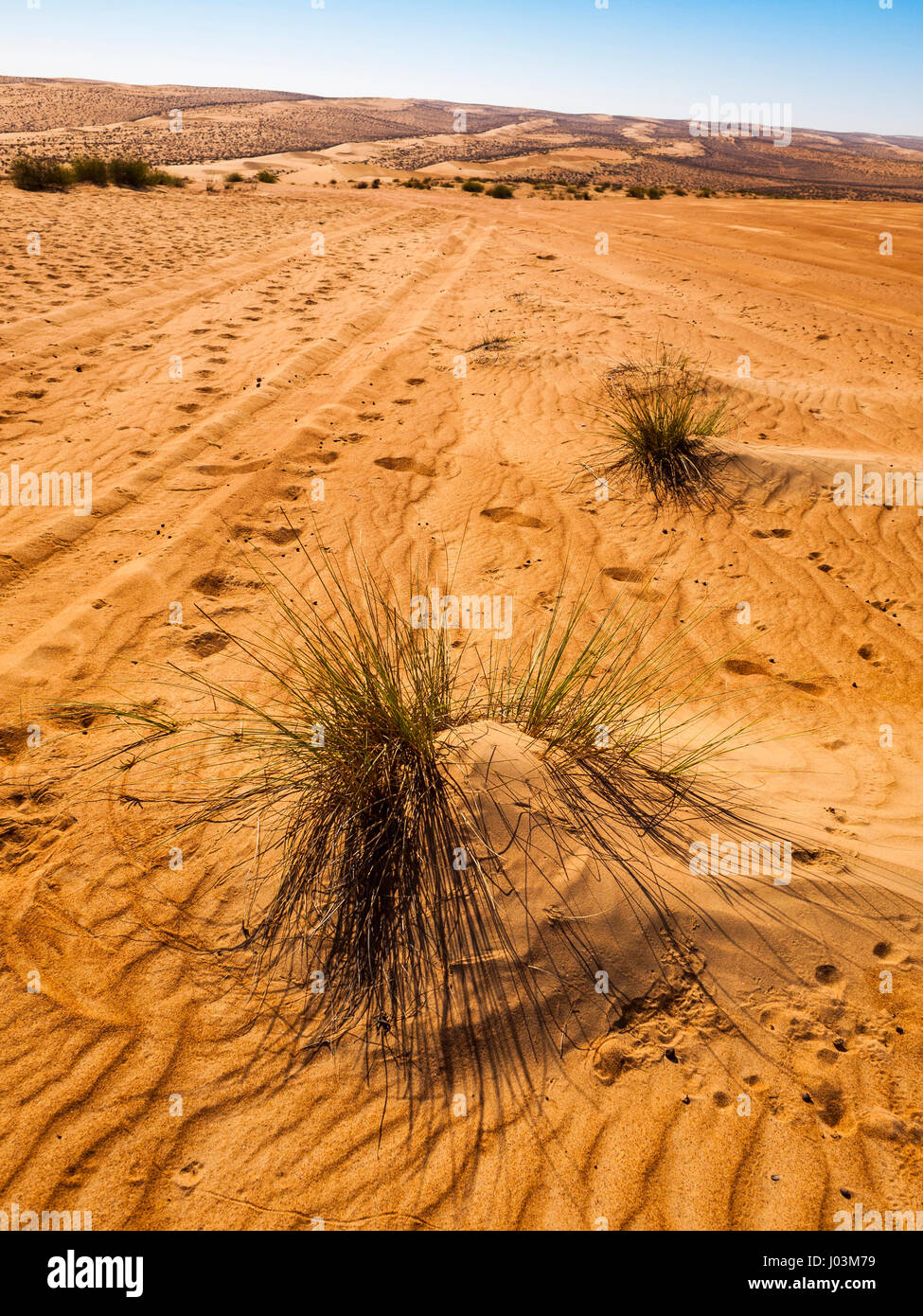 Wahiba Sand Desert, Oman Stock Photo - Alamy