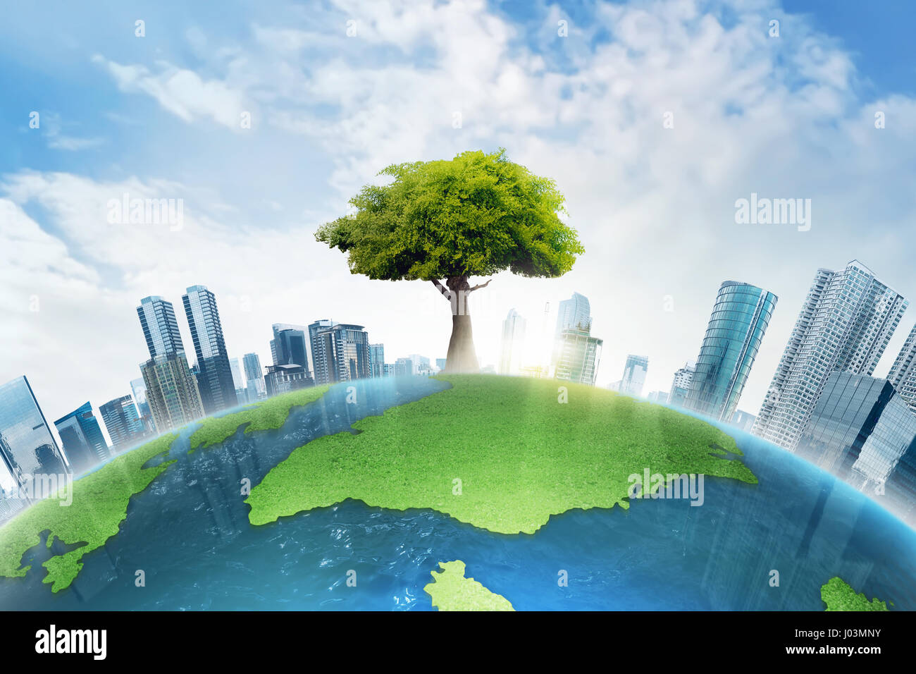 The big tree growing between modern building on top of the earth Stock ...