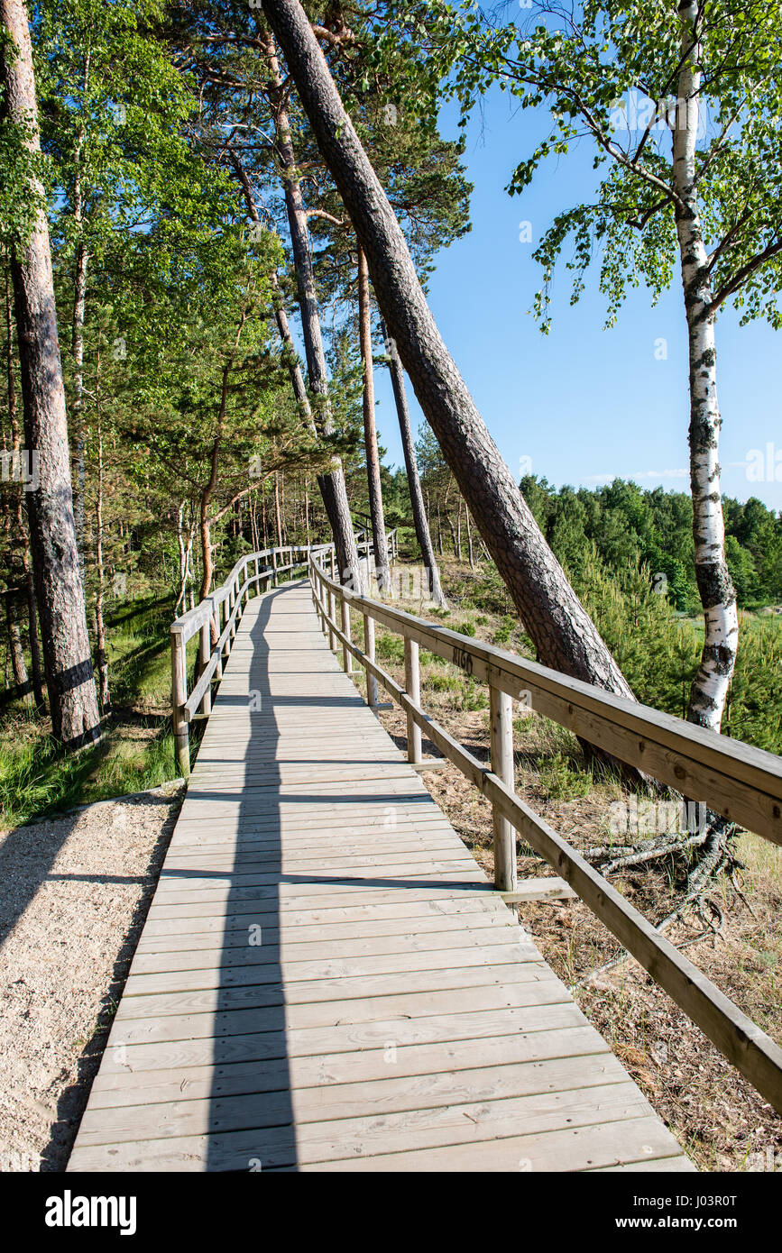 old bridge in forest seen in perspective. central composition Stock ...