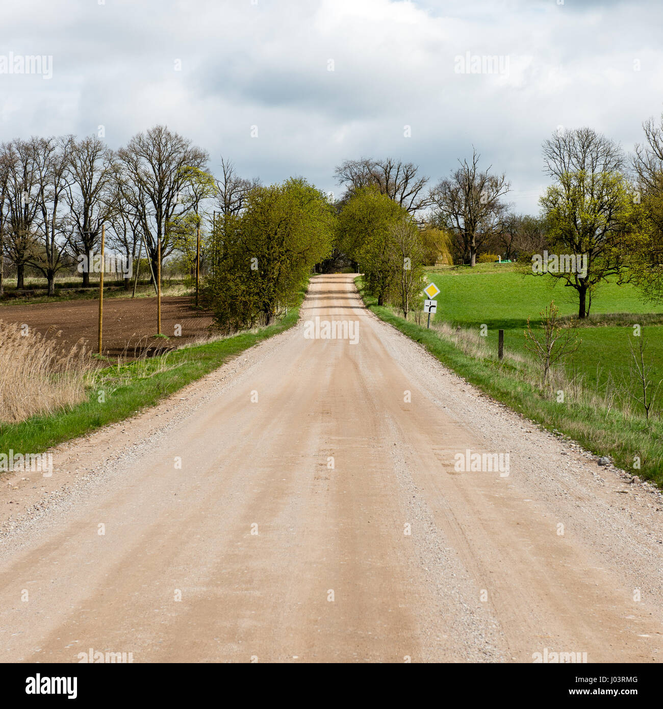 empty country road in spring with perspective and shadows Stock Photo ...