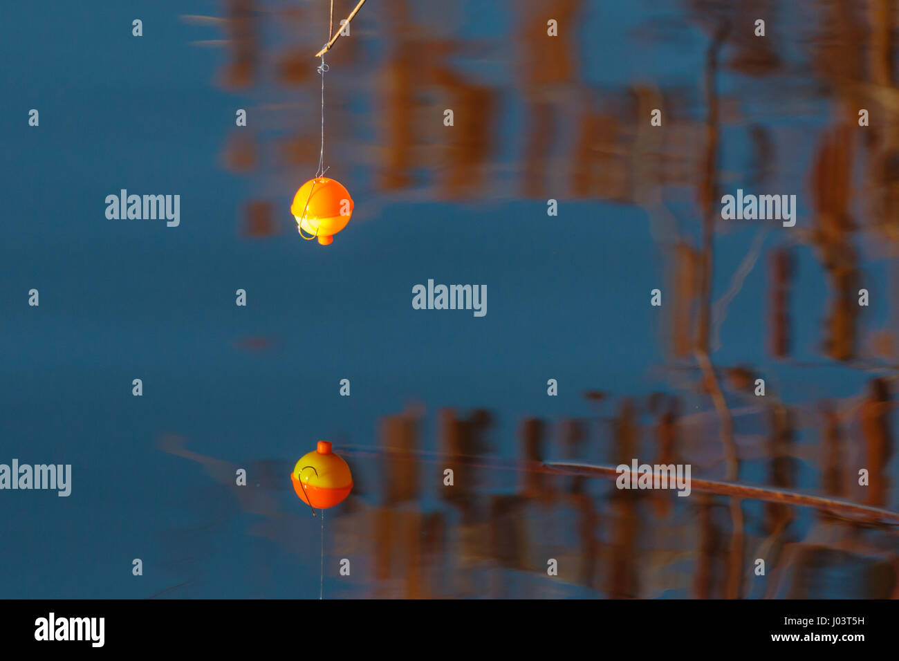 Lake reflection of a fishing hook, line and bobber caught on a branch ...