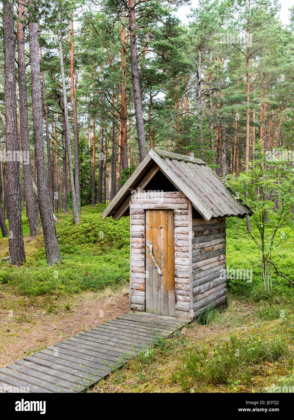 rural landscape. field and grass in summer Stock Photo - Alamy
