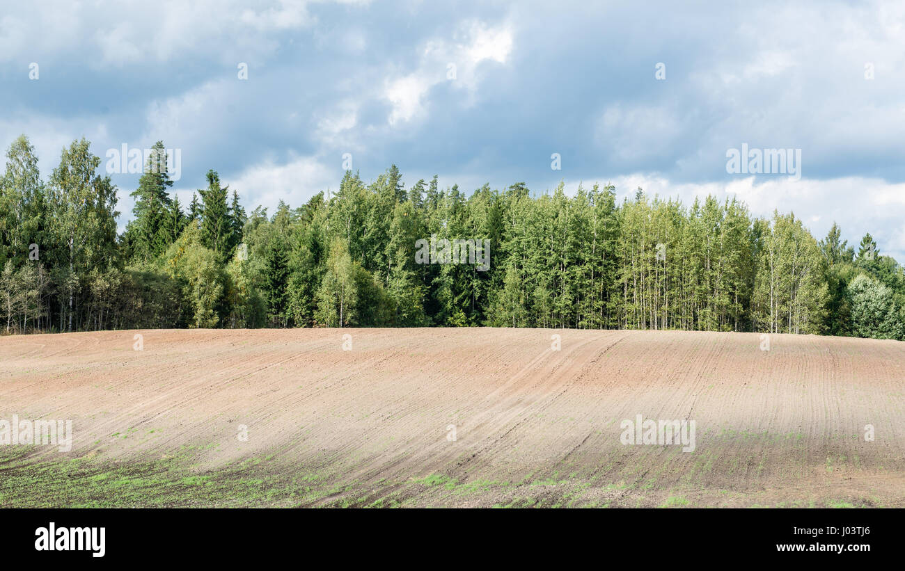 fresh cultivated field in autumn in countryside Stock Photo - Alamy