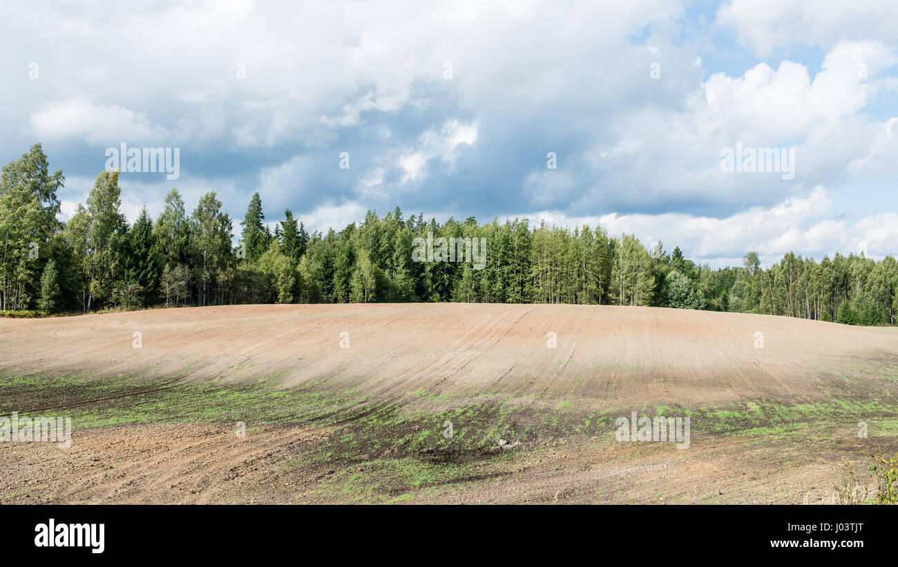 fresh cultivated field in autumn in countryside Stock Photo - Alamy