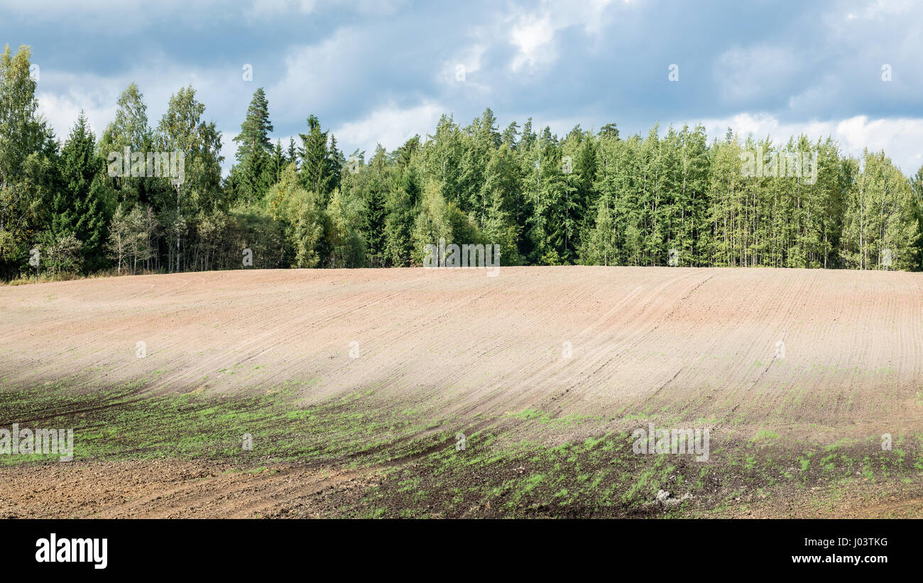 fresh cultivated field in autumn in countryside Stock Photo - Alamy