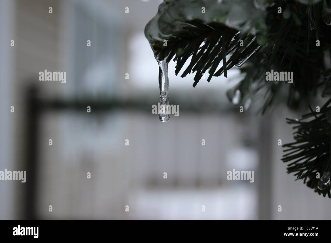 Transparent melting ice hi-res stock photography and images - Alamy