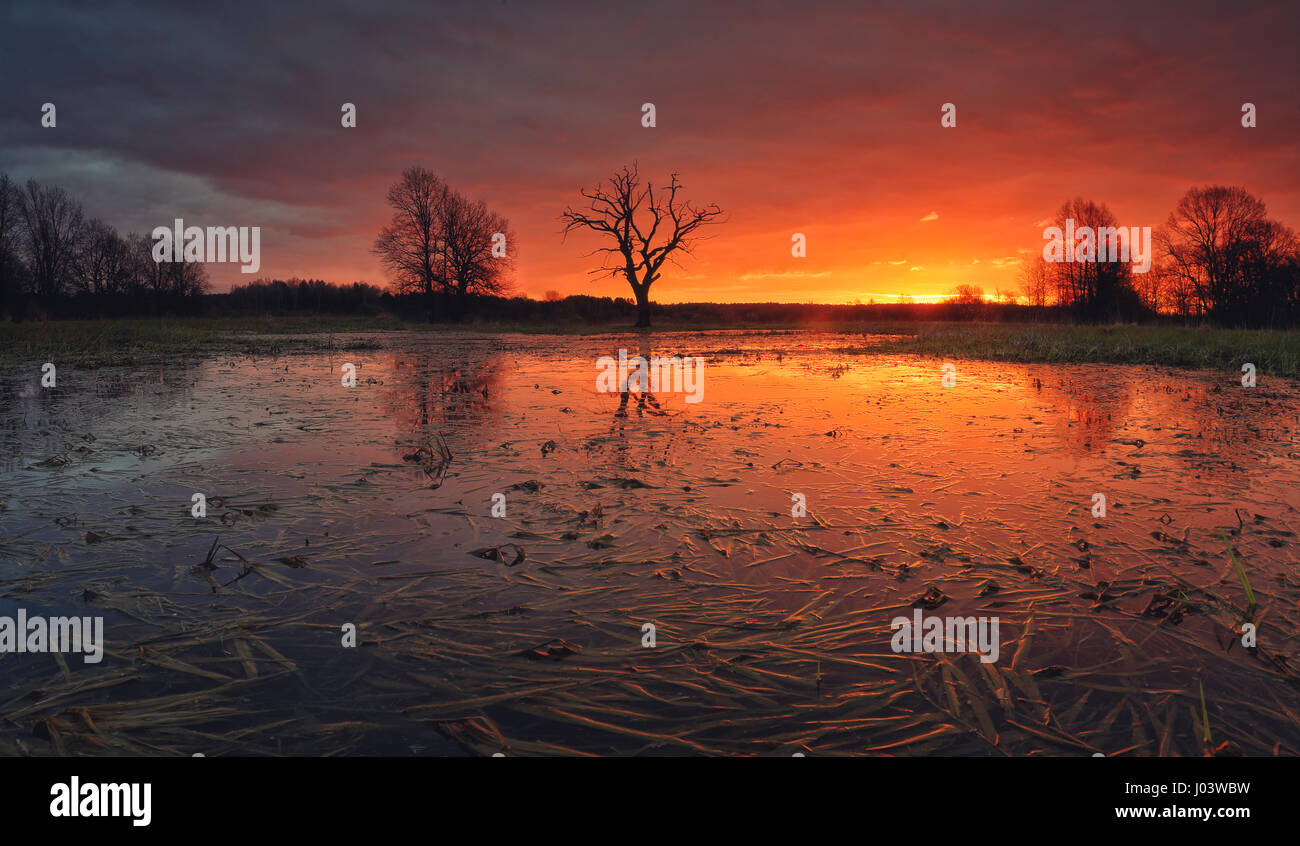 Gorgeous sunrise over swamp. Colorful cloudscape above flooded meadow ...