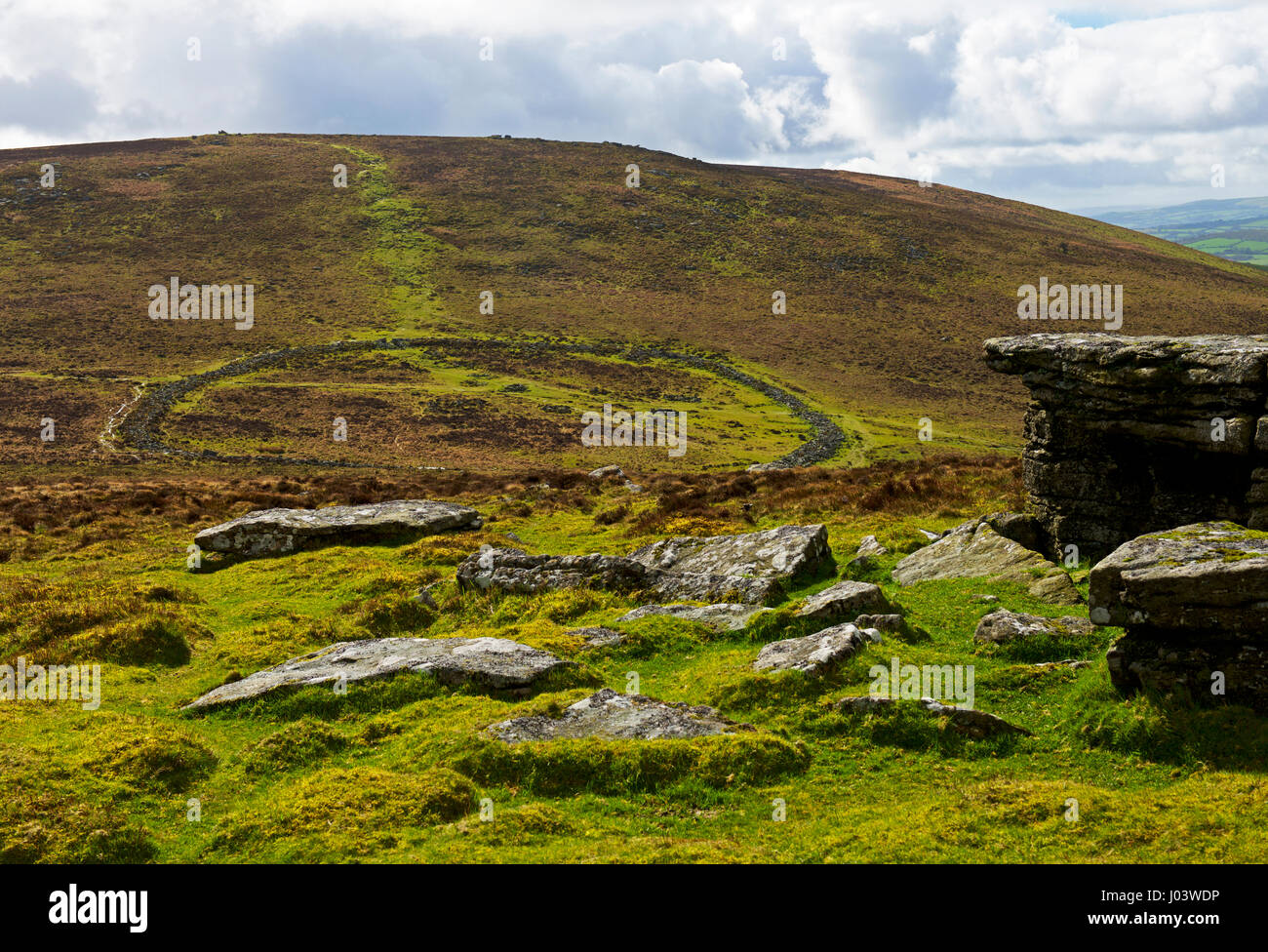 Grimspound, a bronze age settlement, Dartmoor National Park, Devon ...