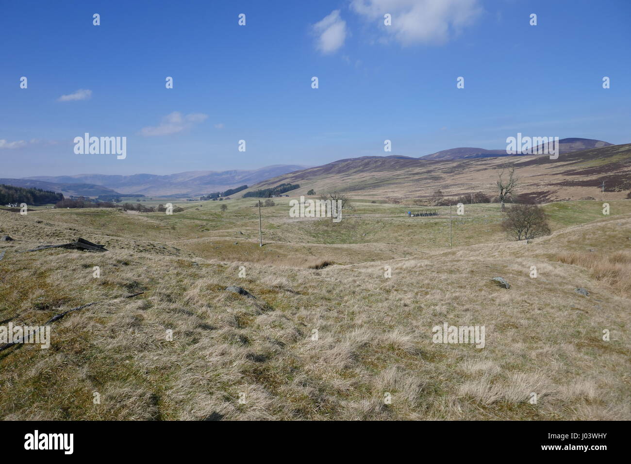 Angus glen scotland hi-res stock photography and images - Alamy