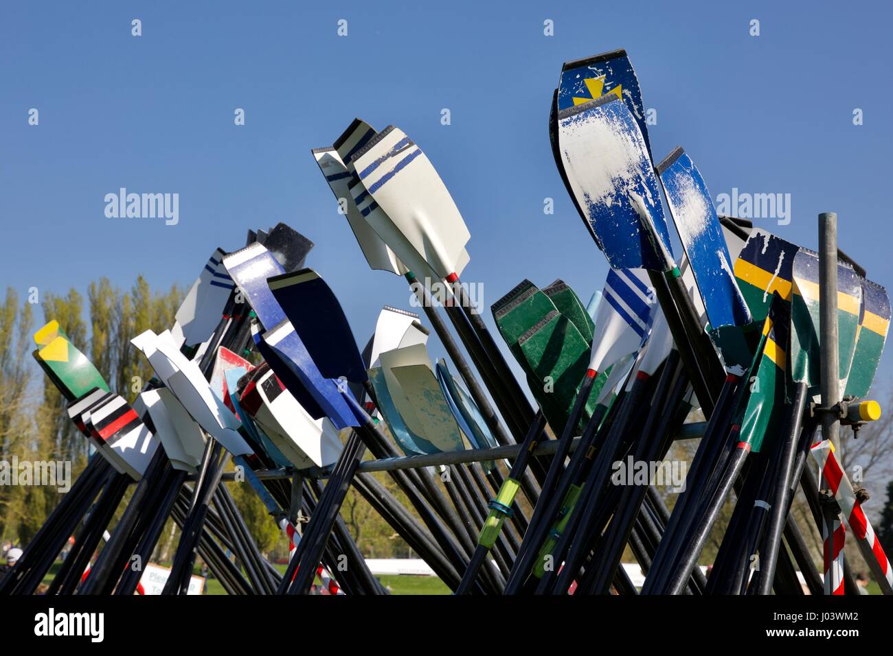 Array of boat oars Stock Photo - Alamy