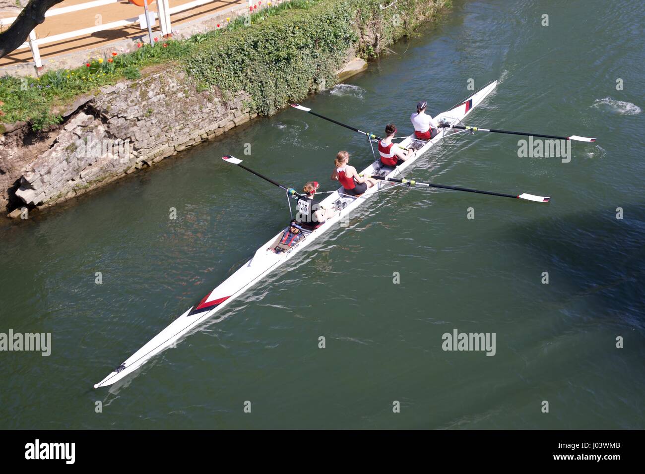 Sweep rowing hi-res stock photography and images - Alamy