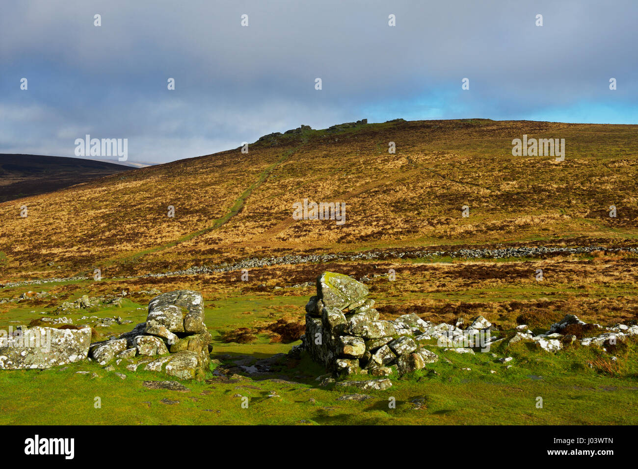 Grimspound, a bronze age settlement, Dartmoor National Park, Devon ...