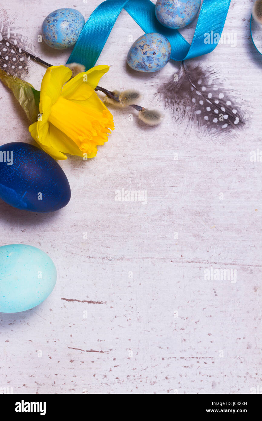 Easter border with painted blue eggs and daffodil on aged wooden ...