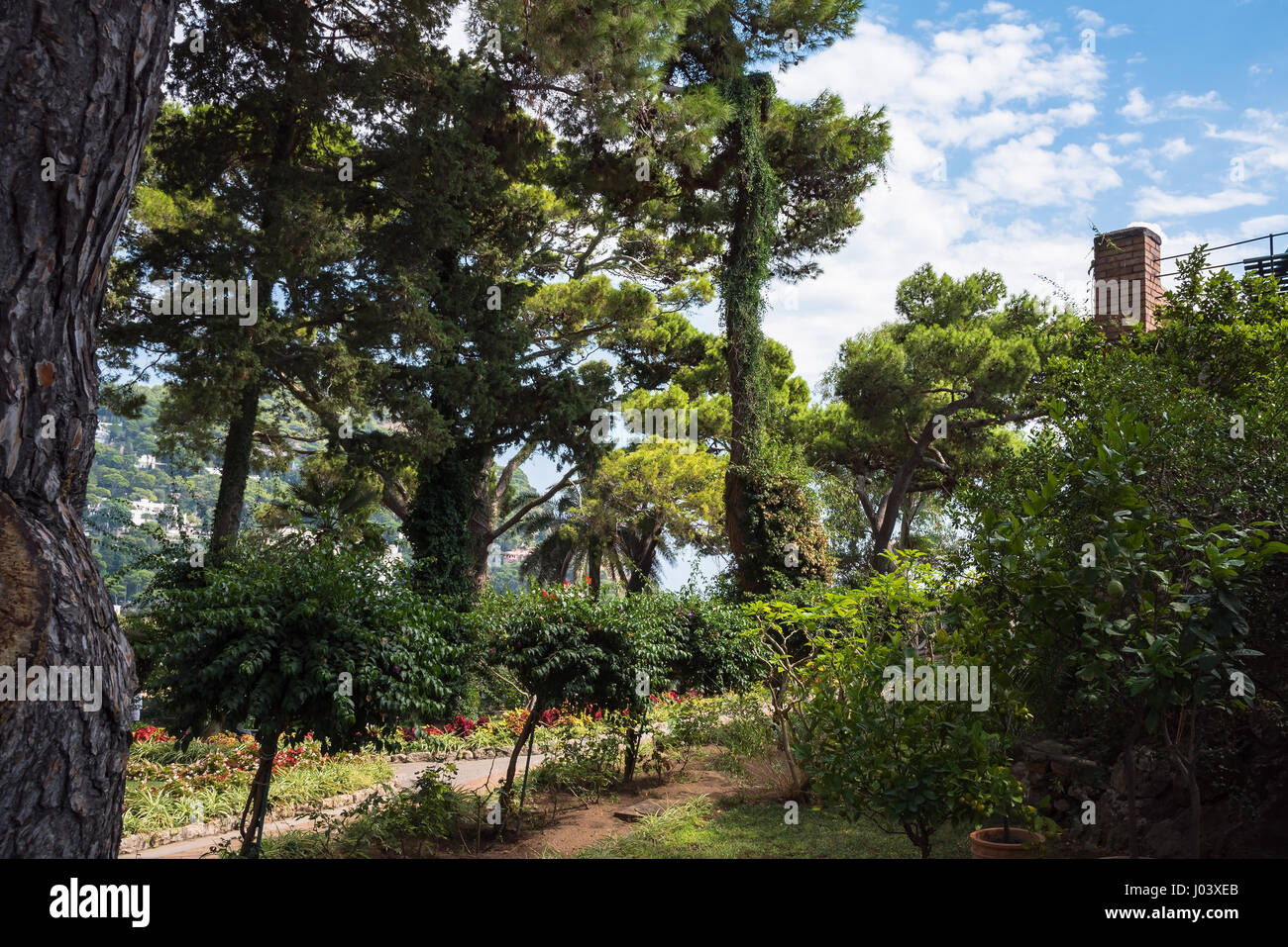 The Gardens of Augustus - botanical gardens on the island of Capri ...