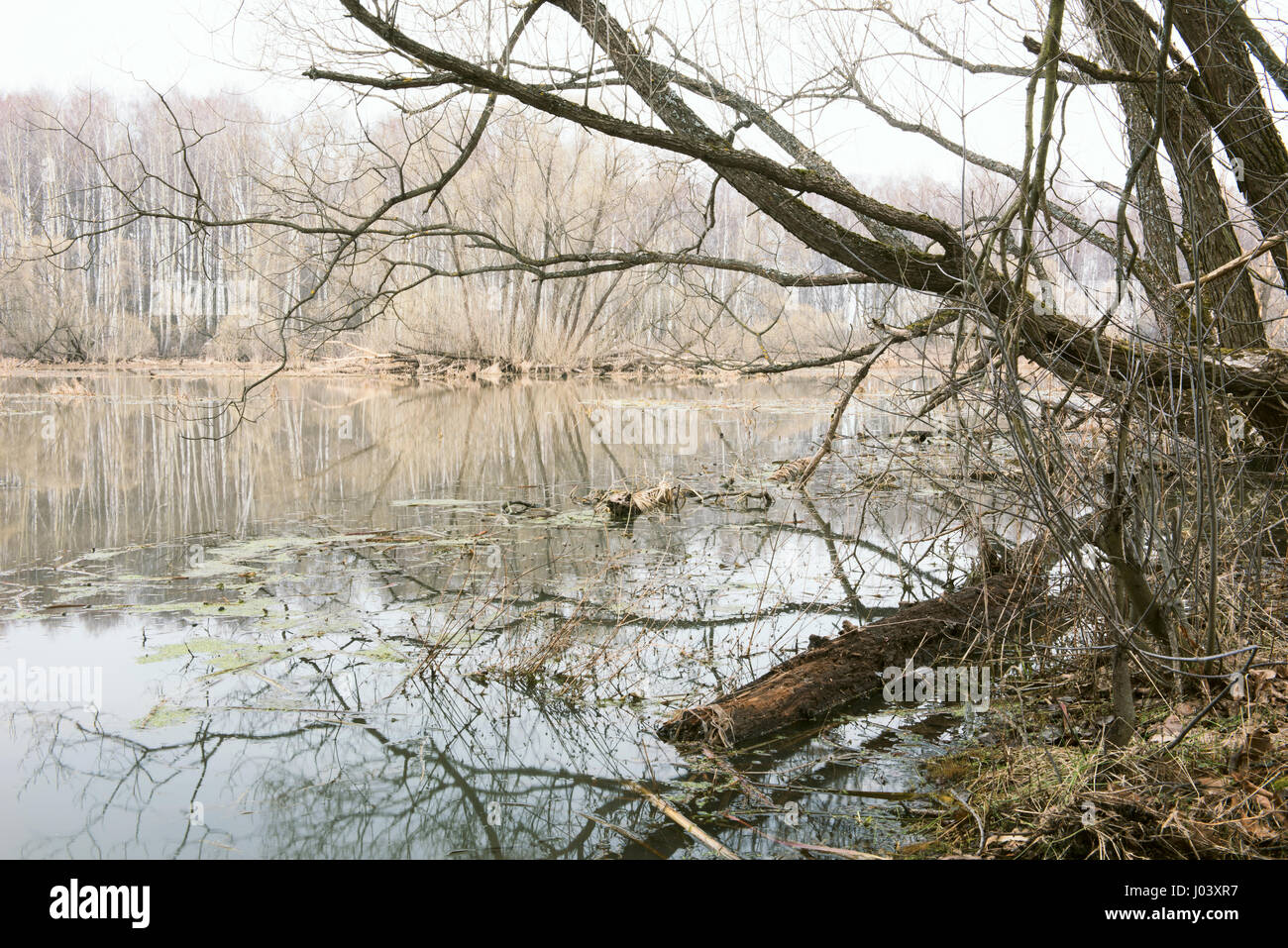Flat river hi-res stock photography and images - Alamy