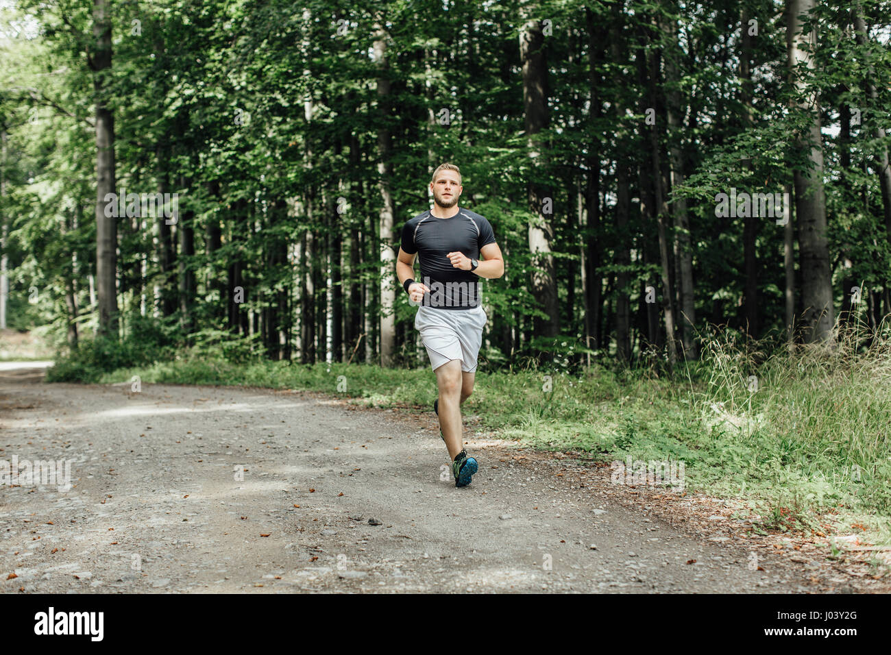 Male runner running along a nature trail through the woods Stock Photo ...