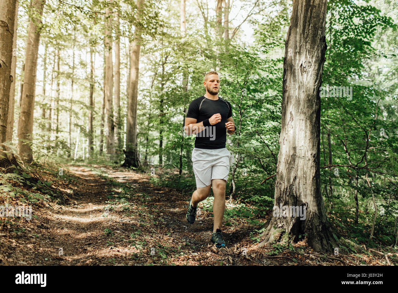 Male runner running along a nature trail through the woods Stock Photo ...