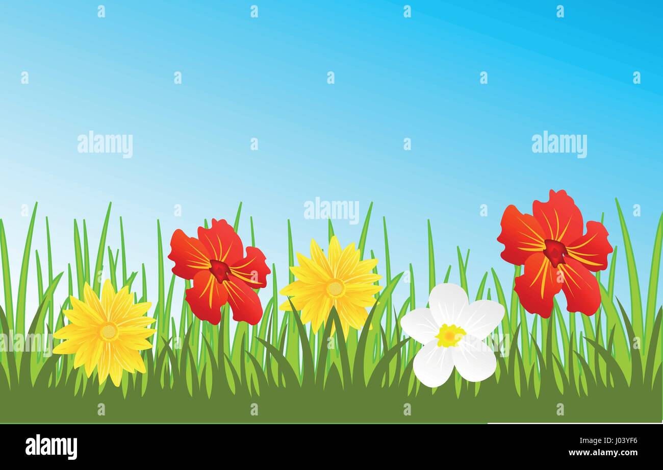 Glade with flower Stock Vector Image & Art - Alamy