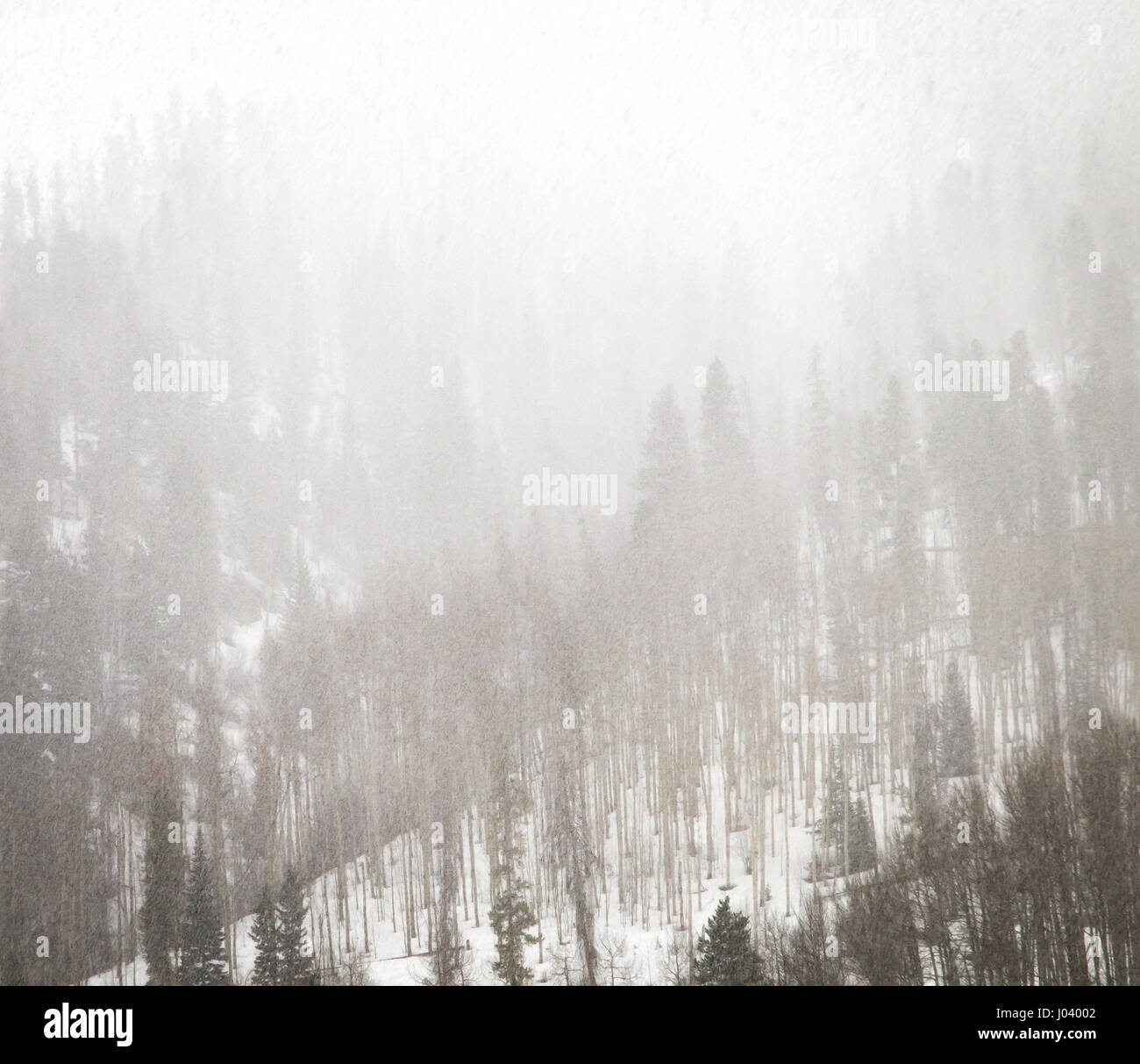 Blizzard conditions hi-res stock photography and images - Alamy