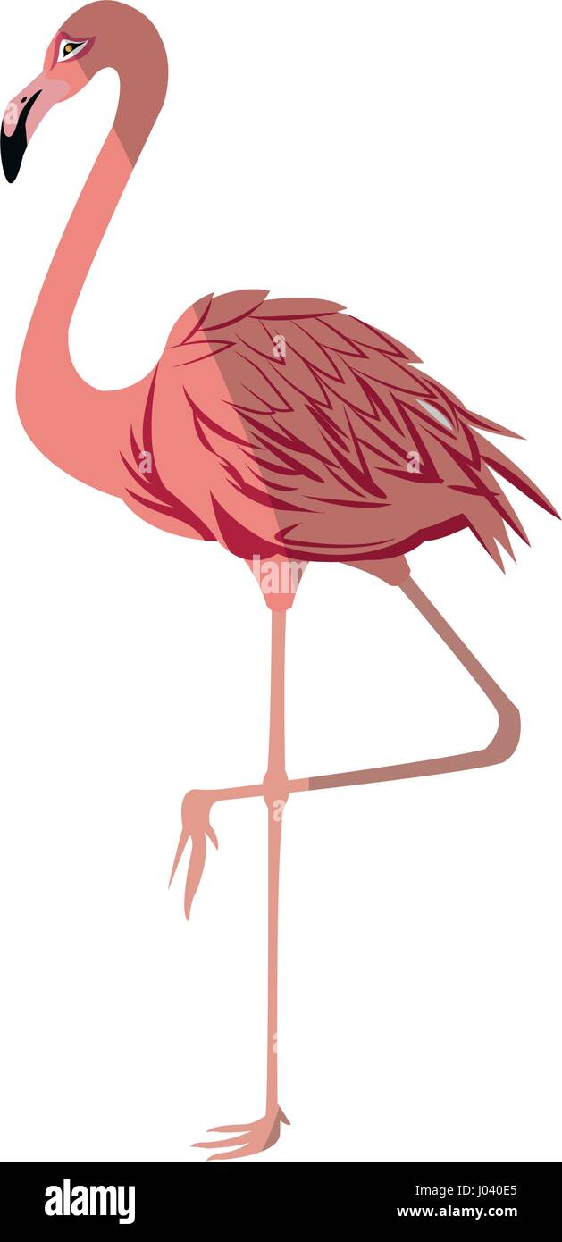 pink flamingo icon Stock Vector Image & Art - Alamy