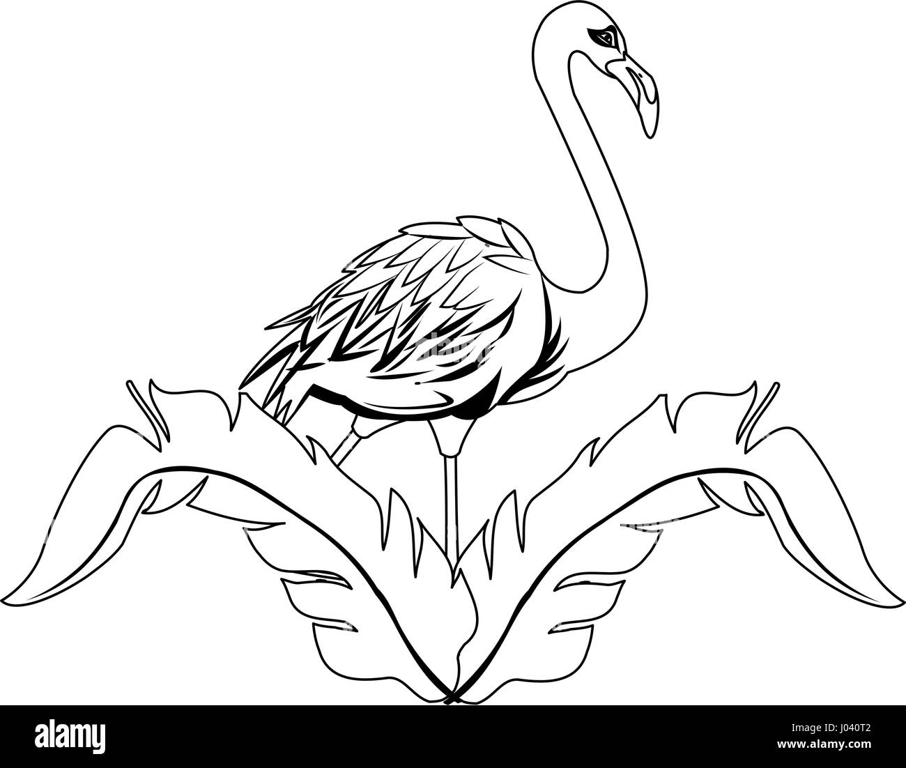 Cartoon flamingo vector Black and White Stock Photos & Images - Alamy