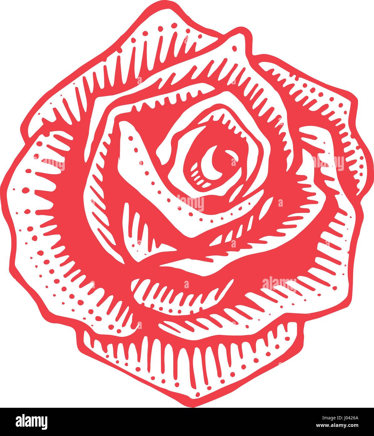 Hand drawn vector illustration or drawing of a rose flower Stock Vector ...