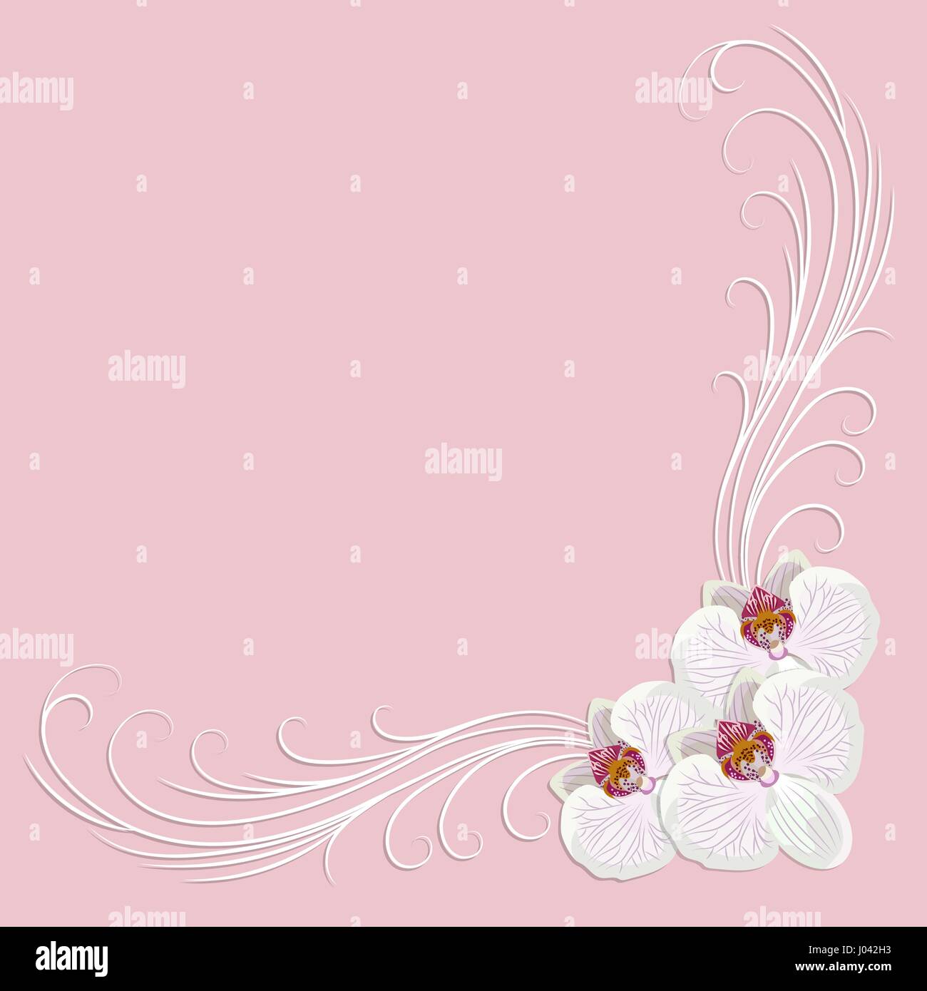 Delicate corner frame with orchid flowers Stock Vector Image & Art - Alamy
