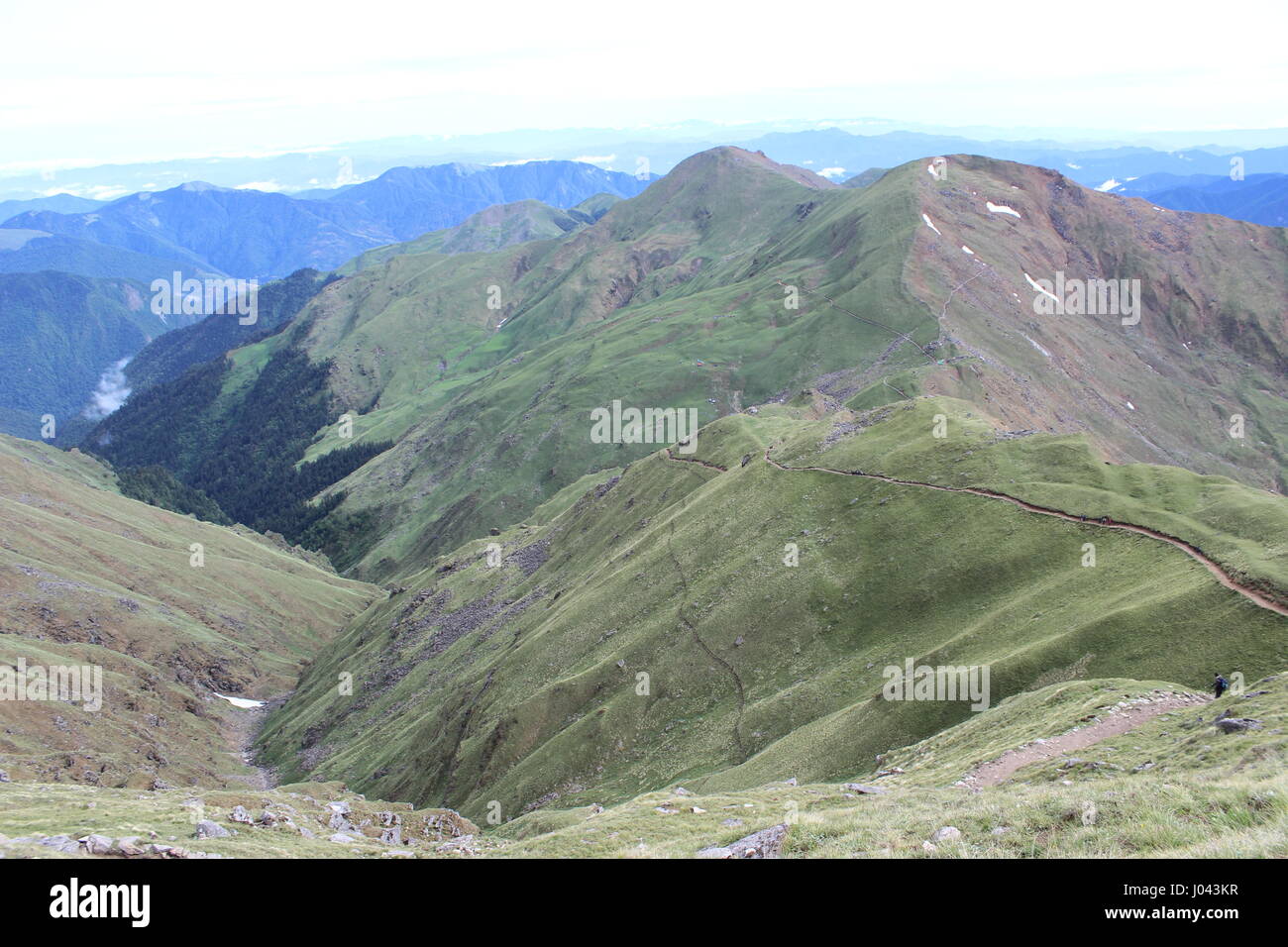 The Greener Path Stock Photo - Alamy