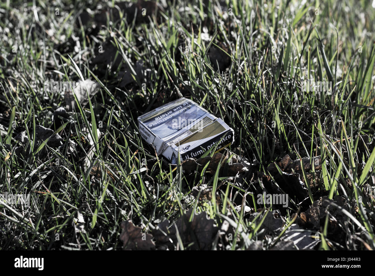 Garbage Pack of Cigarettes on the Grass Stock Photo - Alamy
