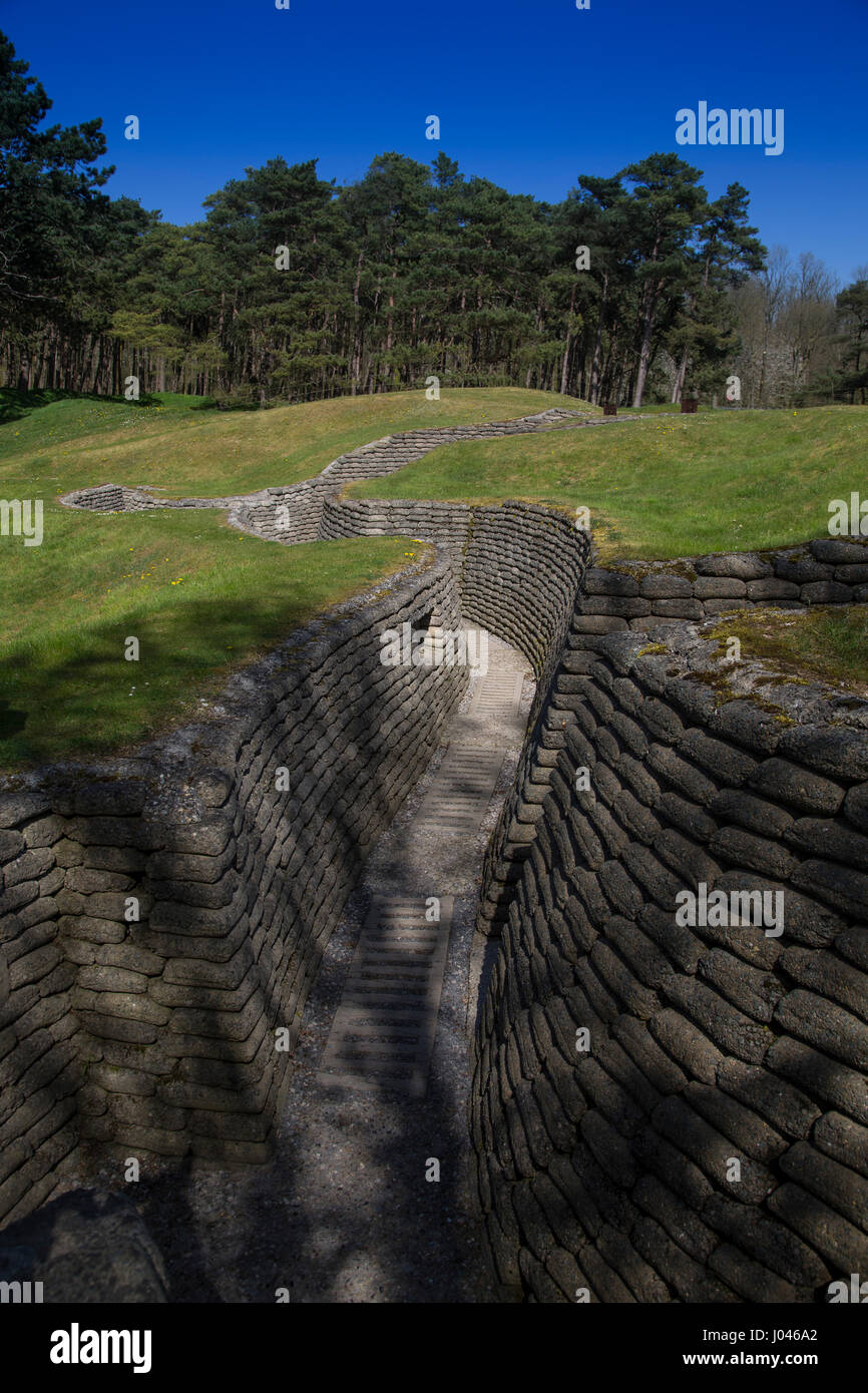 Vimy Ridge Trenches High Resolution Stock Photography and Images - Alamy