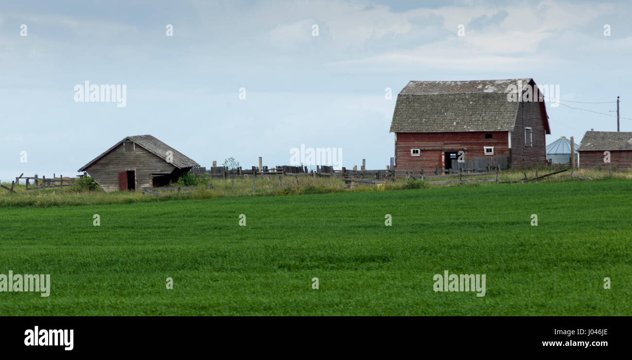 Barns at farm, Southern Alberta, Alberta, Canada Stock Photo - Alamy