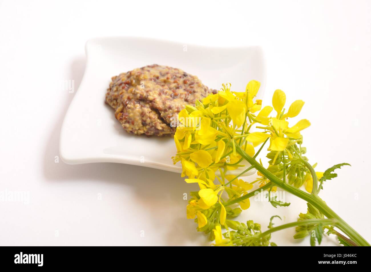 Yellow mustard flower and condiment Stock Photo - Alamy
