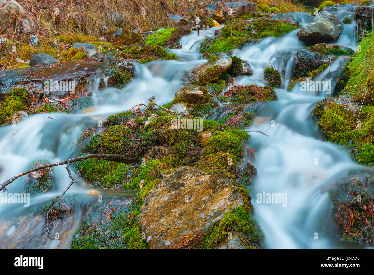 Cascading spring creek flowing through the forest, Alberta Canada Stock ...