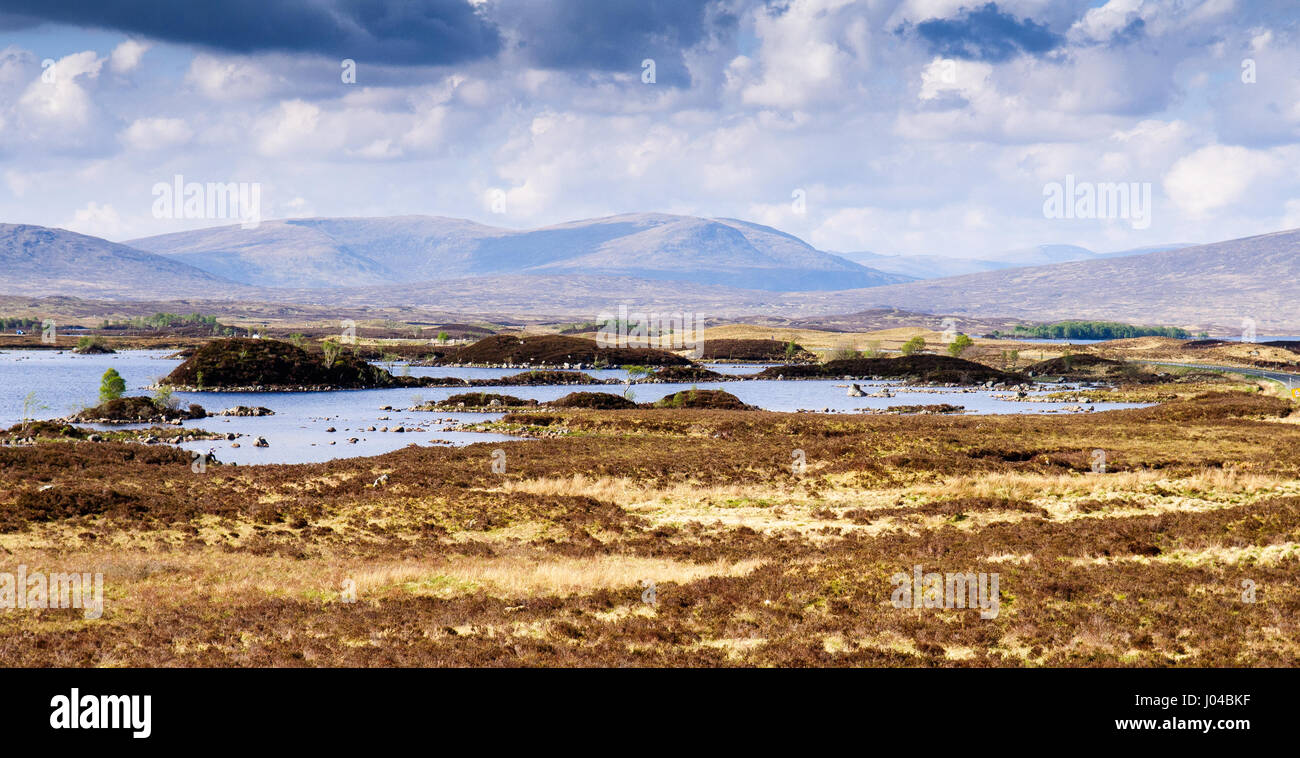 Rannoch moor peat bog moorland hi-res stock photography and images - Alamy