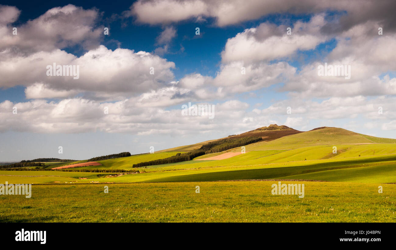 Sun shines on the green grass-covered rolling hills of Ruber's Law in ...
