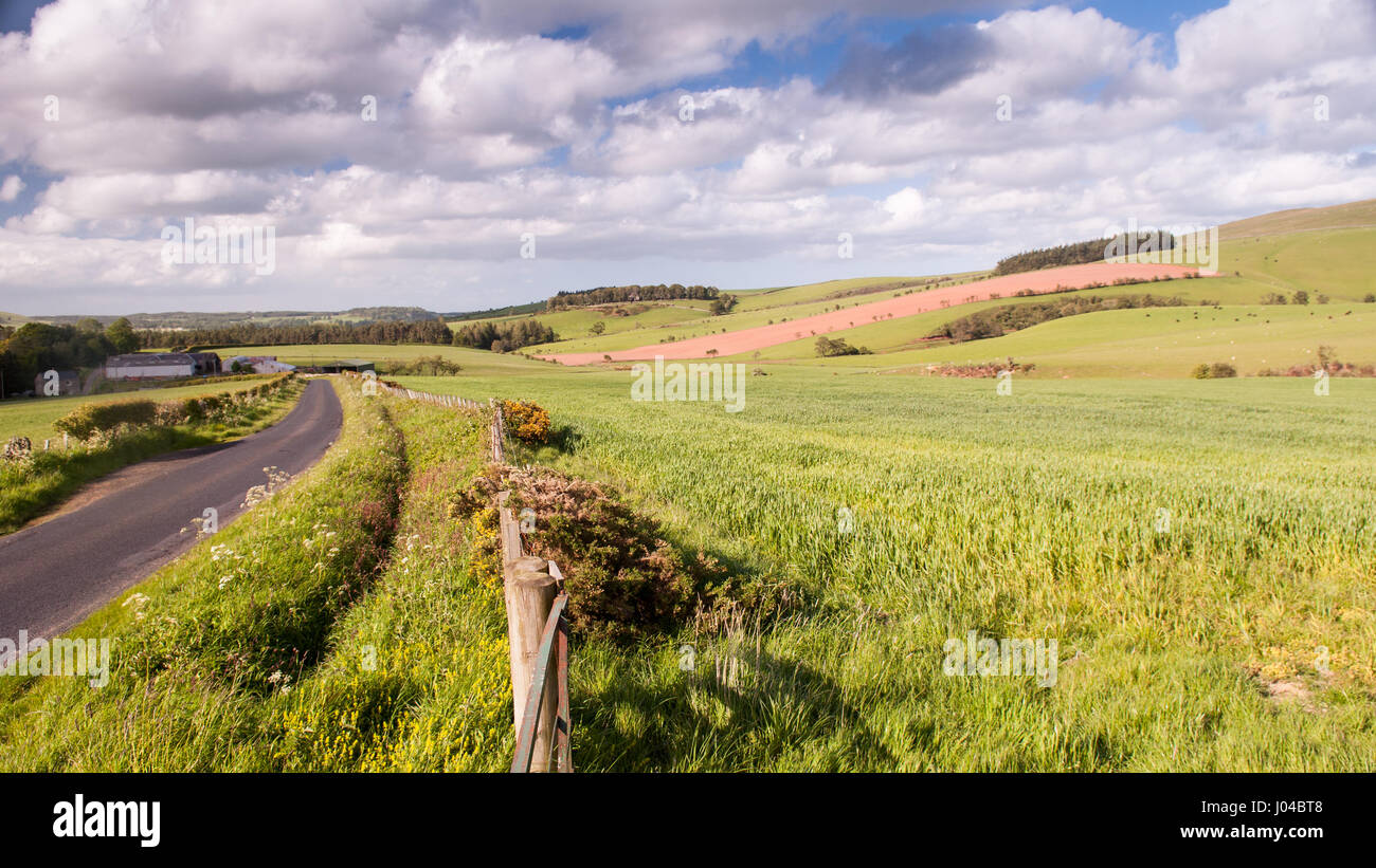 Warm evening light on Ruber's Law, one of the green rolling hills of ...