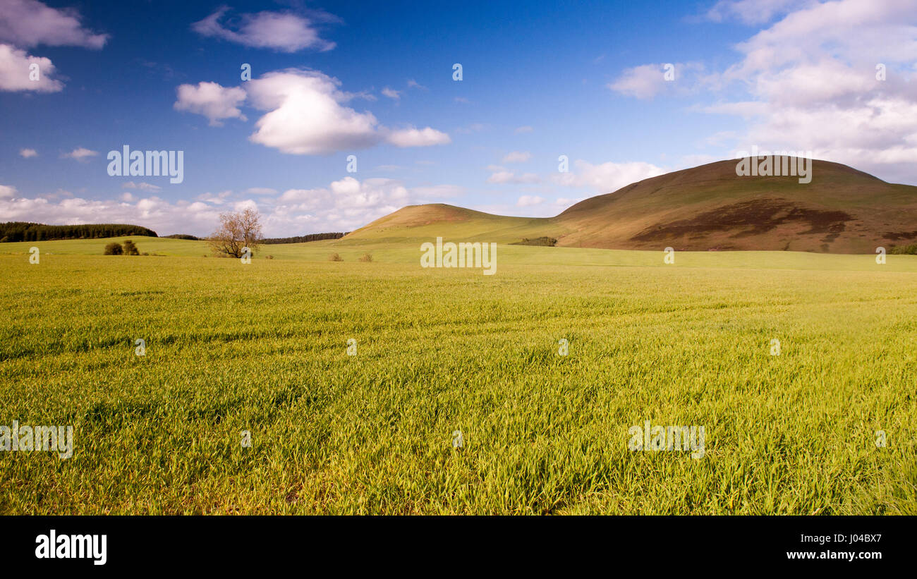Minto field hi-res stock photography and images - Alamy