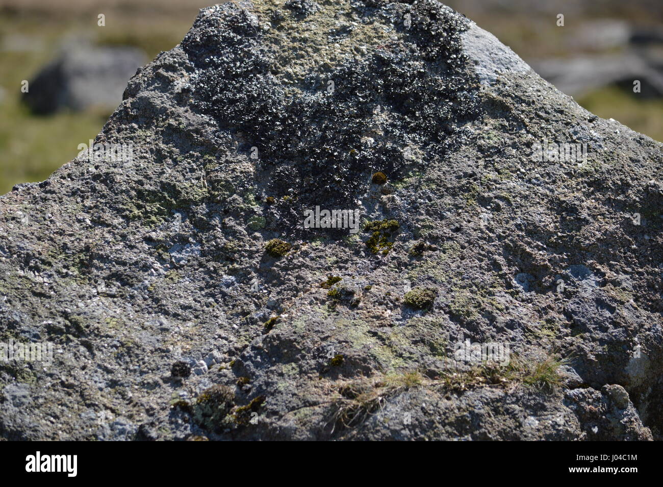 Granite rock on Dartmoor, Devon Stock Photo - Alamy