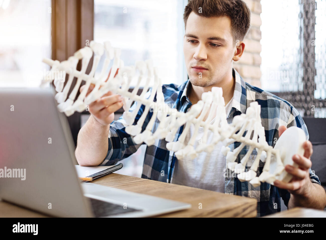 Concentrated student studying biology Stock Photo - Alamy