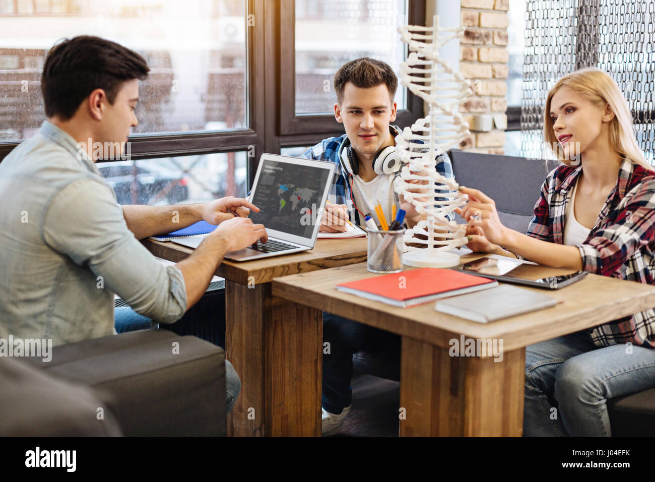 Pleasant involved students learning together Stock Photo - Alamy