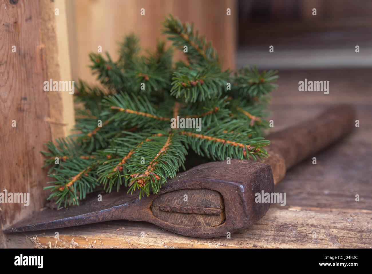 Cutting down trees with ax hi-res stock photography and images - Alamy