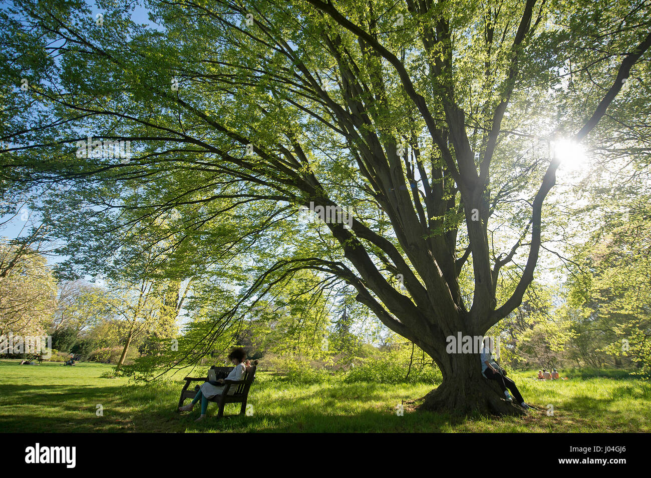 Sitting under a tree hi-res stock photography and images - Alamy