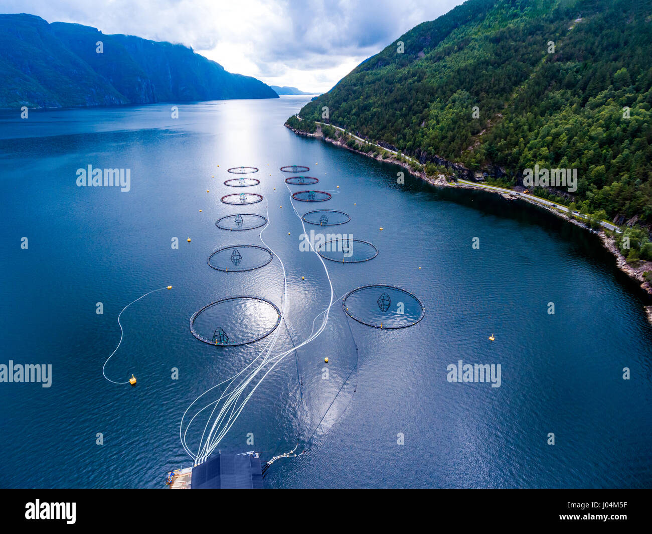 Farm salmon fishing in Norway aerial photography Stock Photo - Alamy