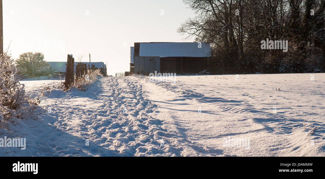 Stalbridge, England, UK - December 18, 2010: Footprints are trodden in ...