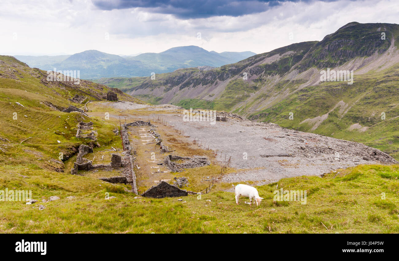 The ruins of disused slate mine buildings at Croesor in the Moelwyn ...