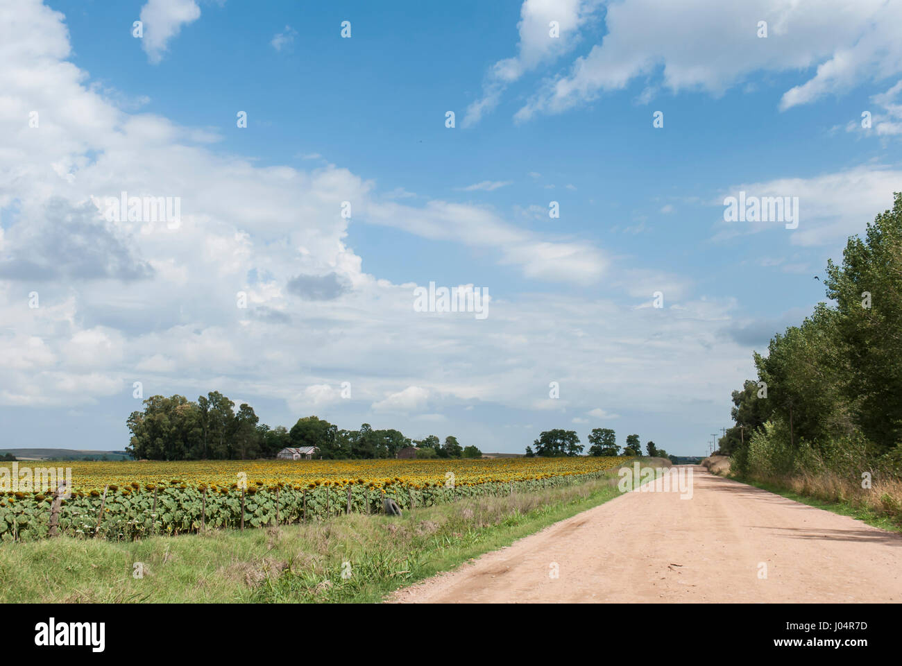 The pampas argentina landscape hi-res stock photography and images - Alamy